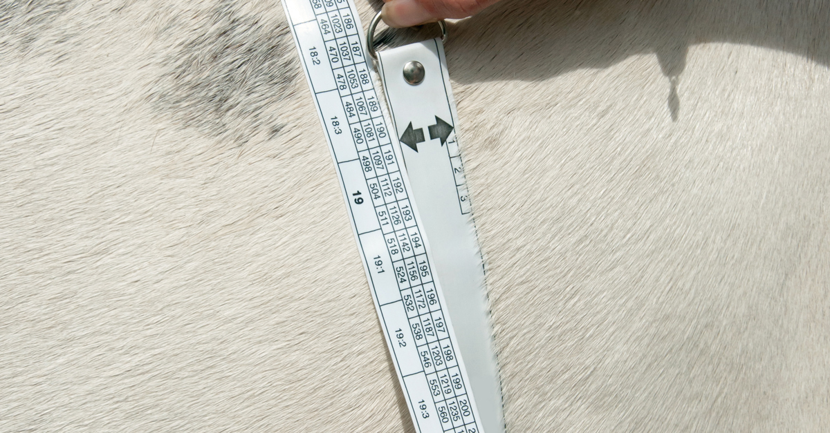 How to use a weigh tape correctly