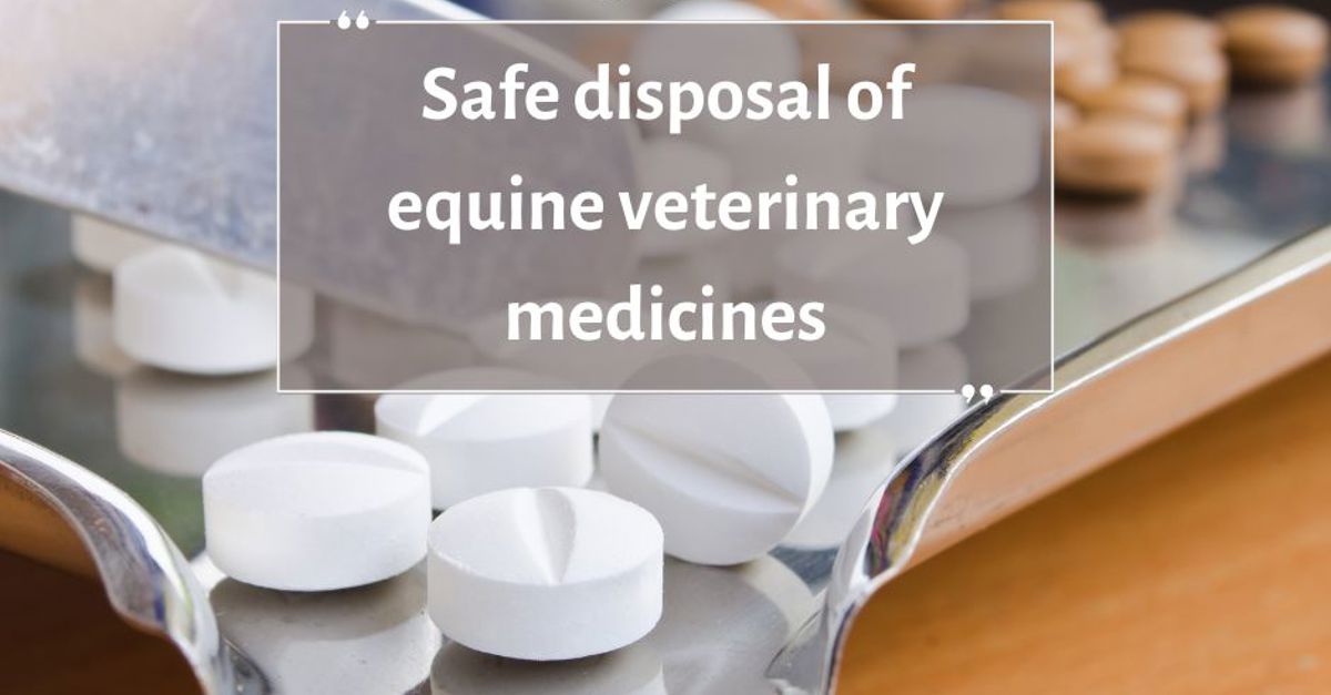 Safe Disposal of Equine Veterinary Medicines