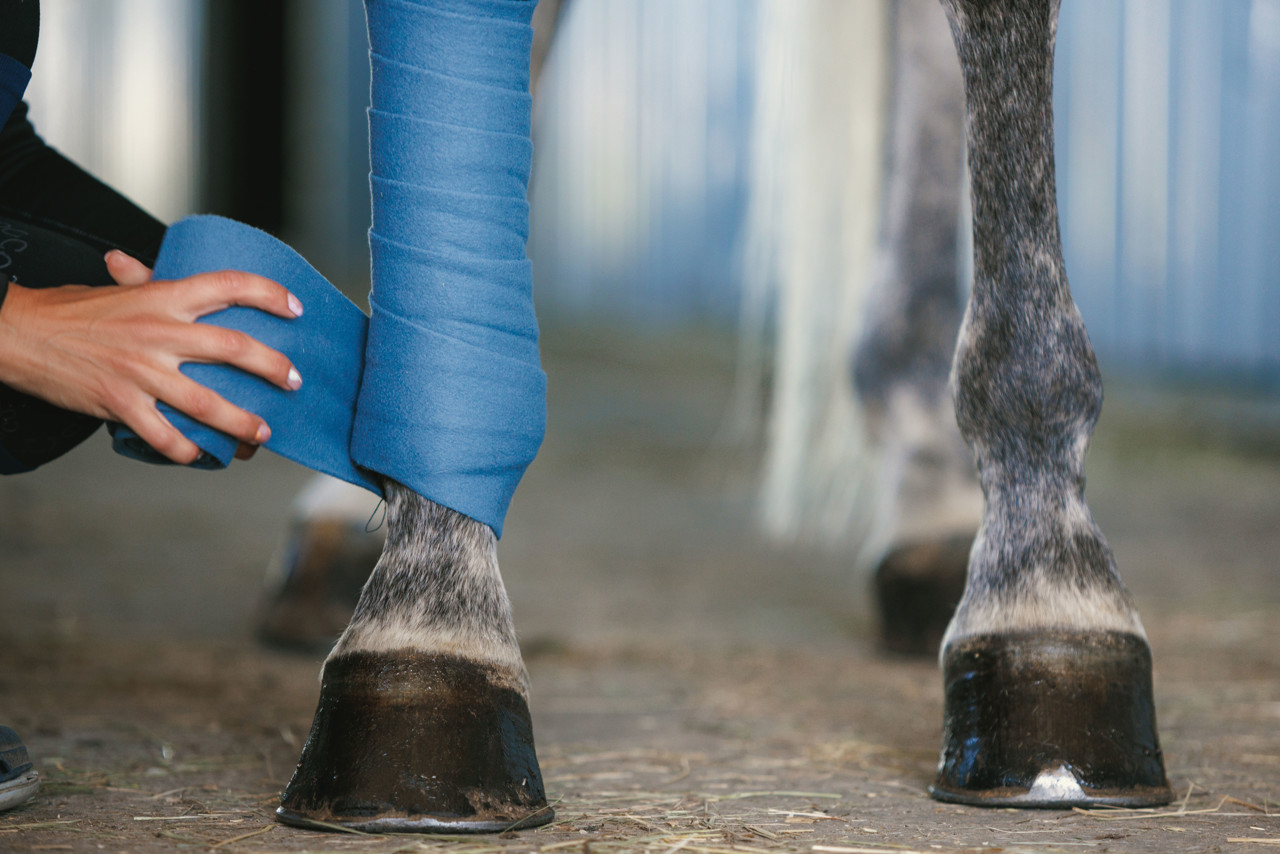 How to apply a lower leg bandage - preparation