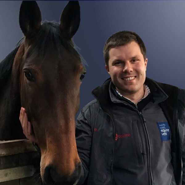 Meet the Team