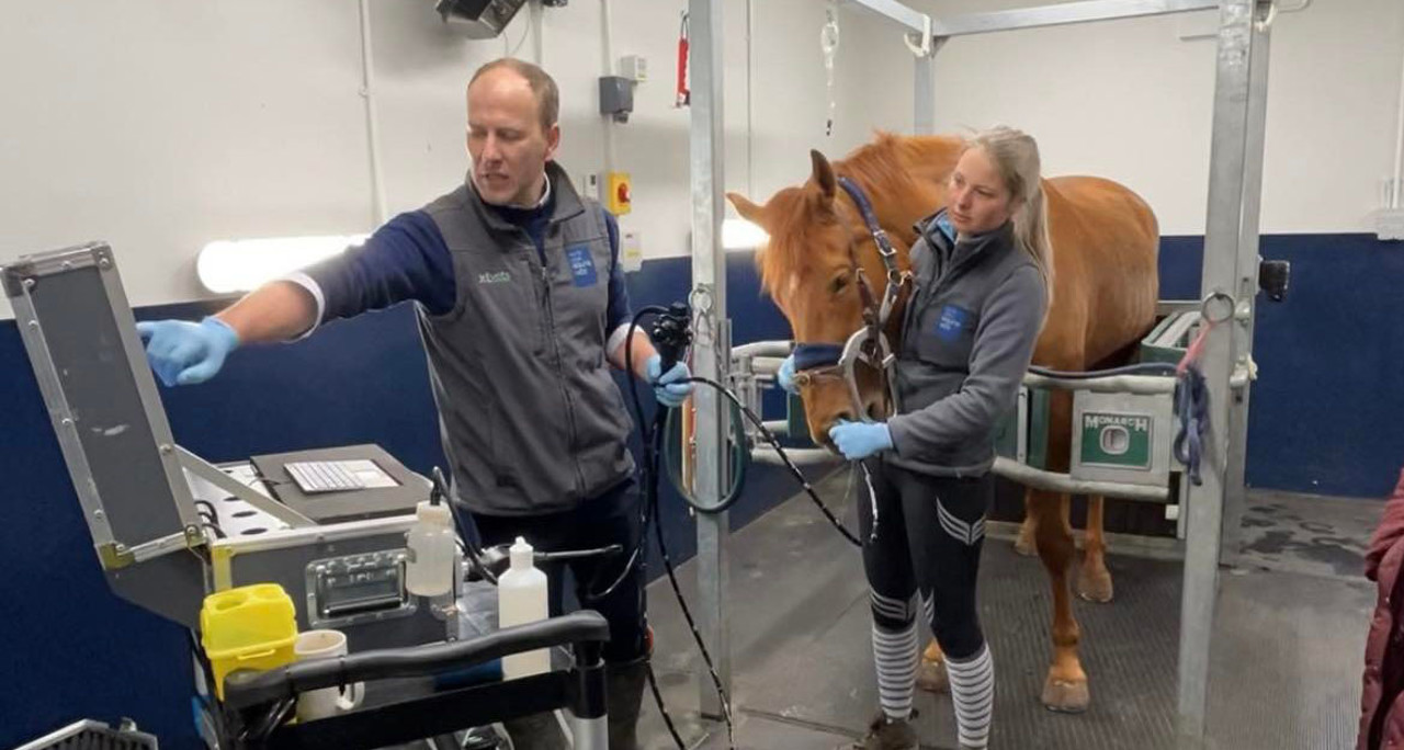 Home [www.northwestequinevets.co.uk]