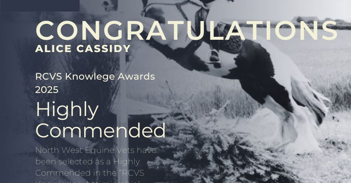 Exciting news - RCVS knowledge awards 2025
